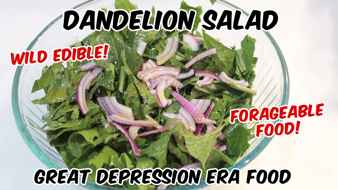 Dandelion Salad - Great Depression Era Recipe - Wild Edible - Foraged ...