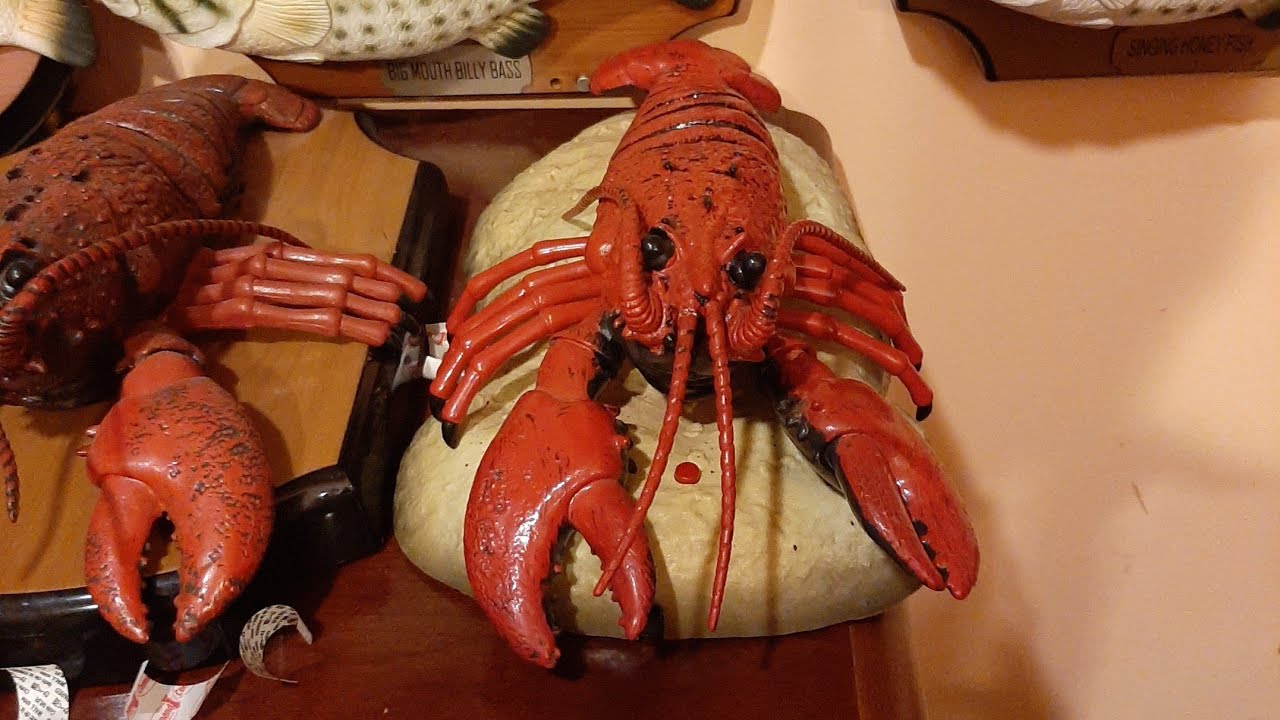 SWEDISH Rocky the Singing Lobster Fish wanky - YouTube