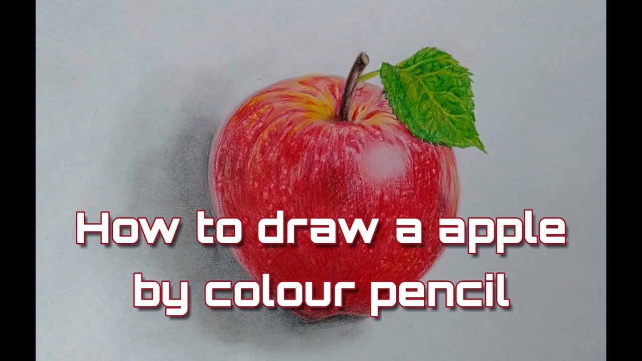 How to draw apple by Colour Pencil (Reallystic Apple) - YouTube
