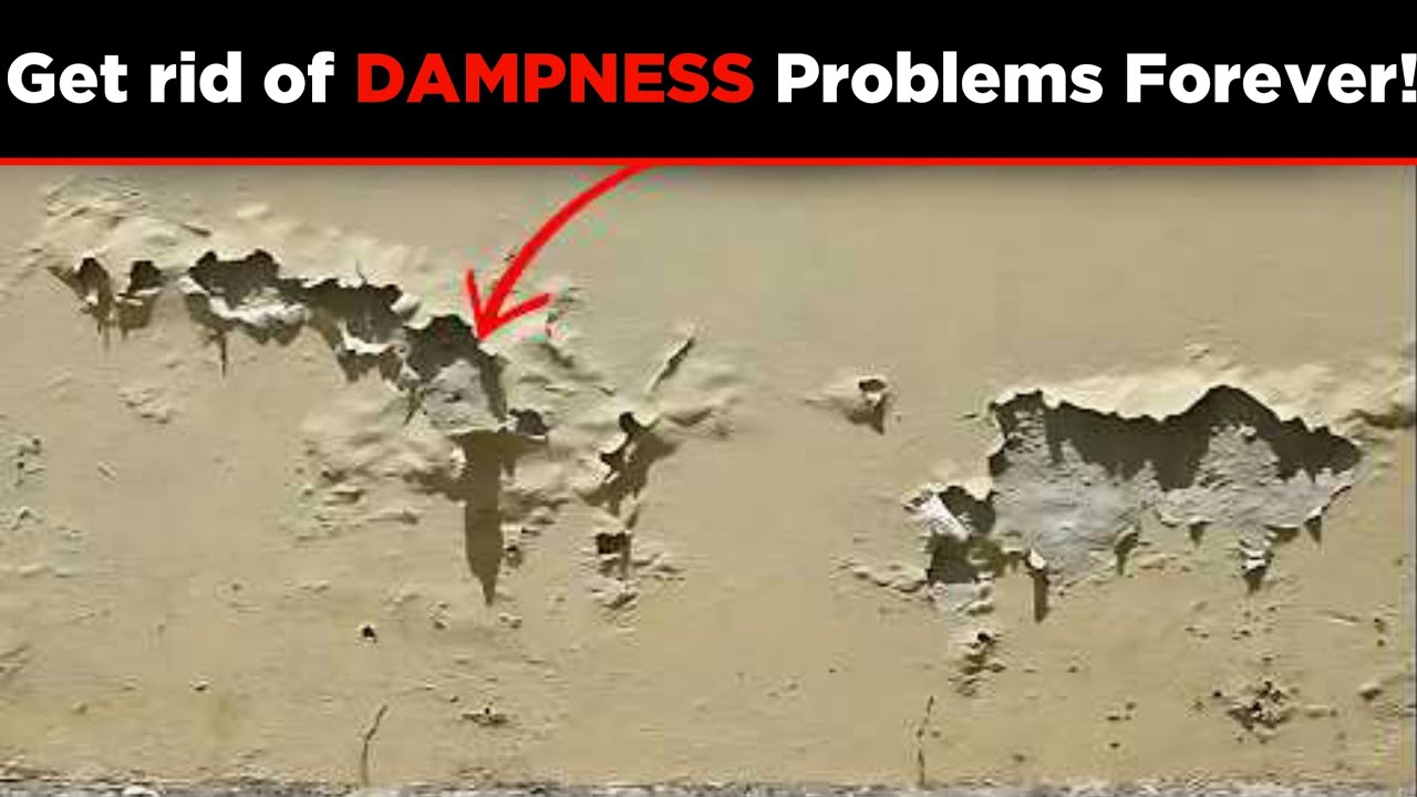 Get rid of DAMPNESS Problems Forever! (Peel And Stick Wall Decor) - YouTube
