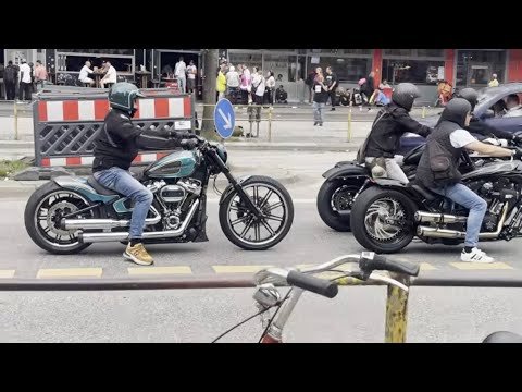 Harley, Nice Motorcycles Part 11, 2024 and 2025 #harley #customhud 