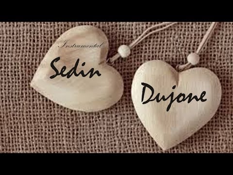 SEDIN DUJONE In Hawaiian Guitar | Instrumental Rabindra Sangeet By ...
