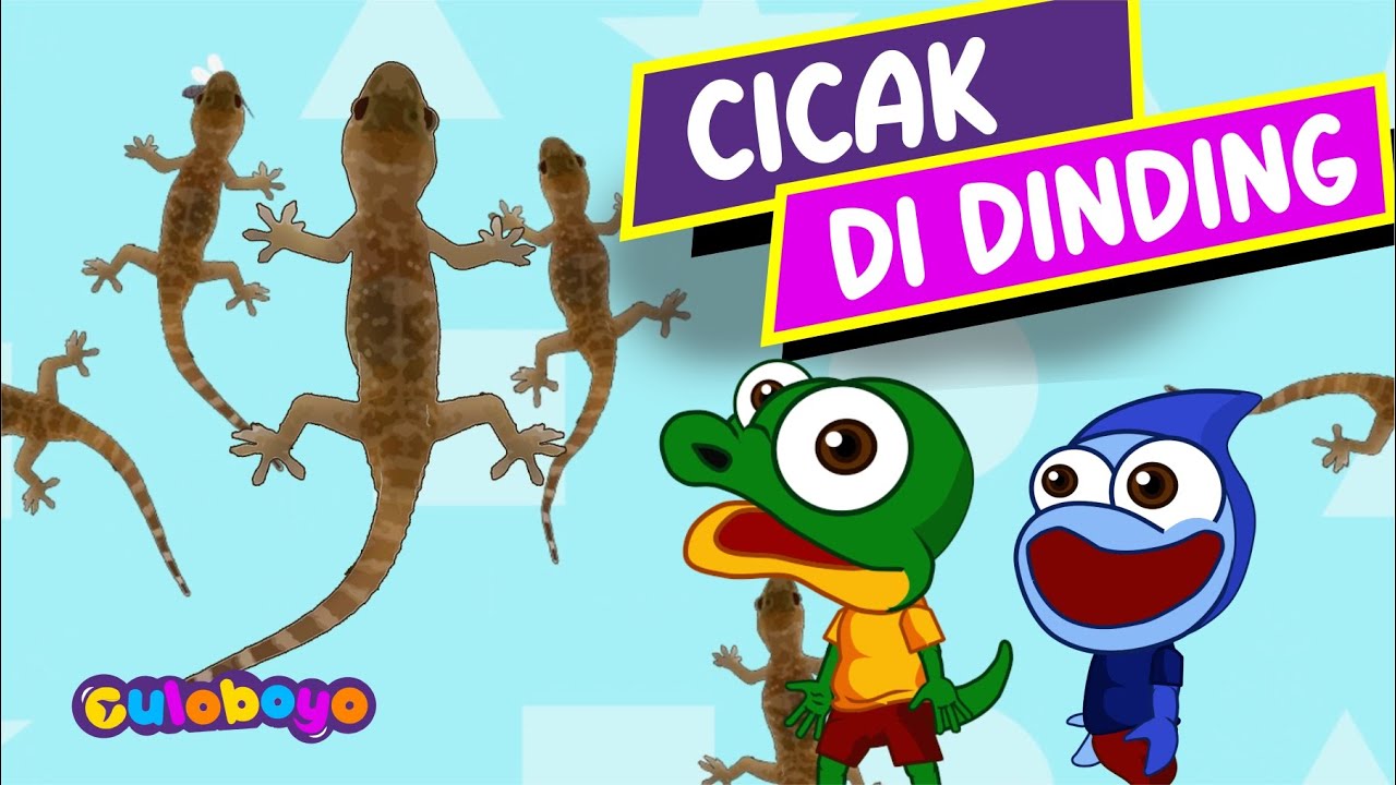 Cicak Cicak di Dinding - Lagu Anak Indonesia Populer - YouTube