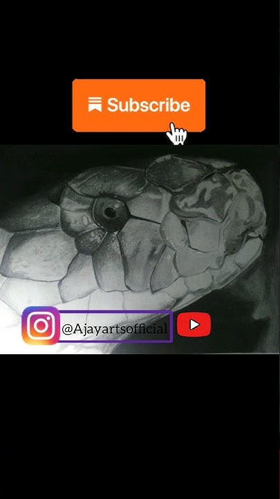 hyper realistic snake #shorts feed #viral - YouTube