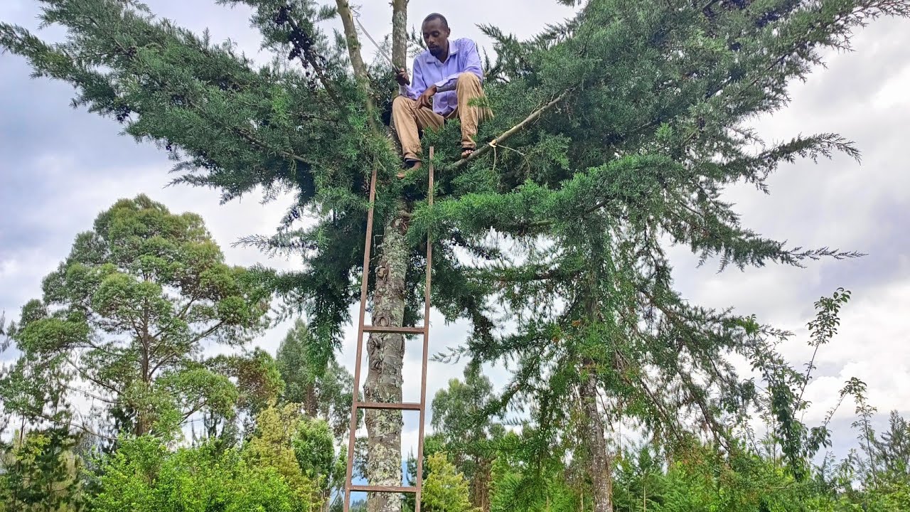 I didn't know it would work.This Is crazy The Ladder Manifestation ...