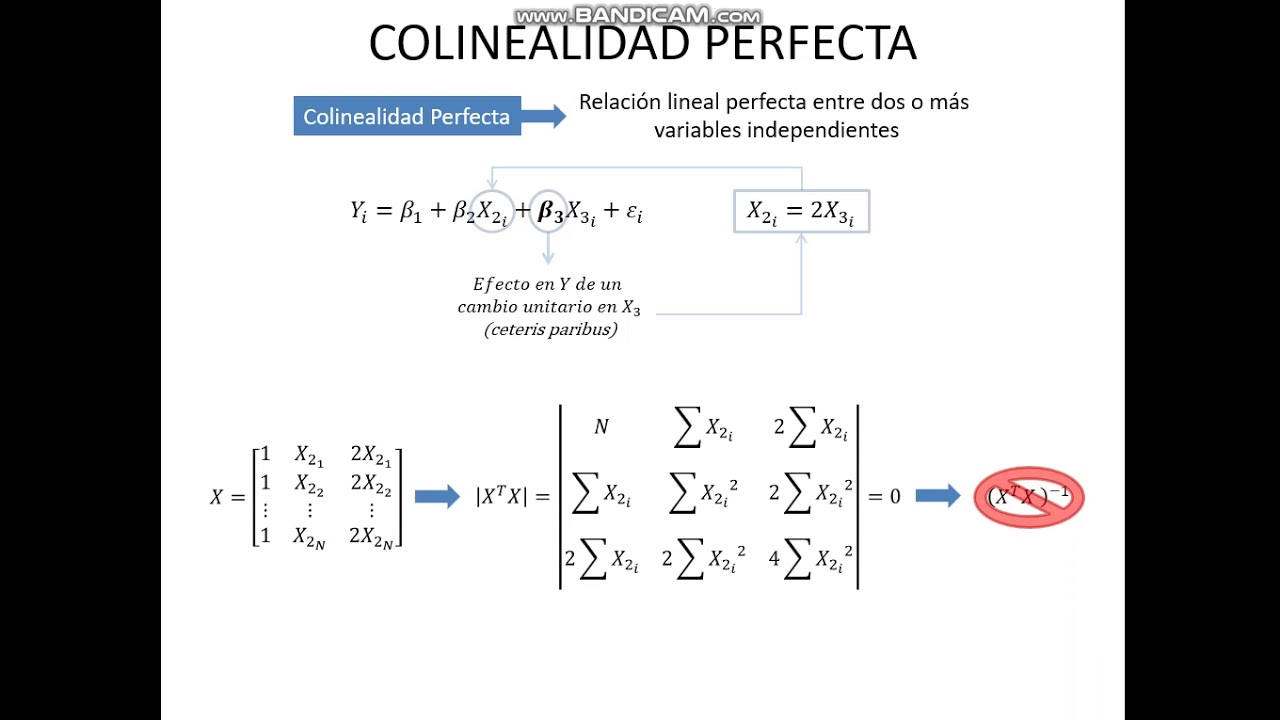 2 Multicolinealidad - YouTube