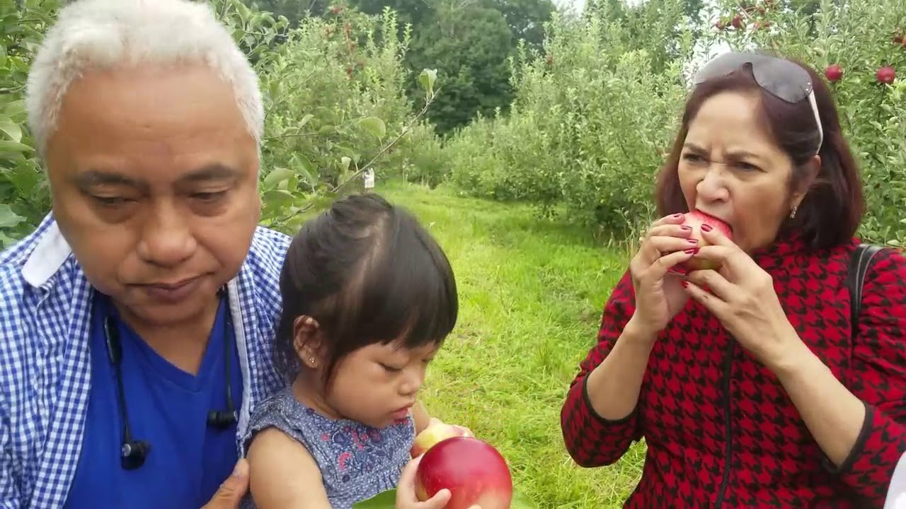 Apple Picking 2018 Masker Orchards - YouTube