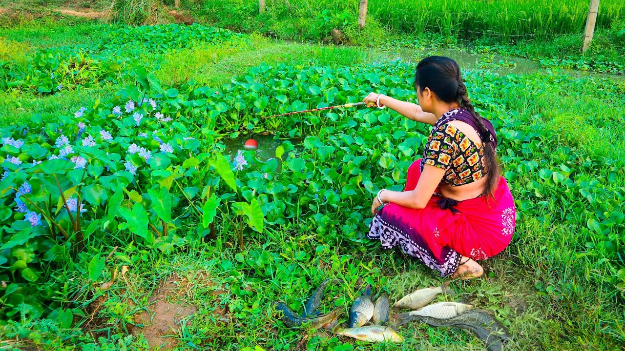 Fishing Video 🎣|| The Village Girl Can Easily Catches Fish from the ...