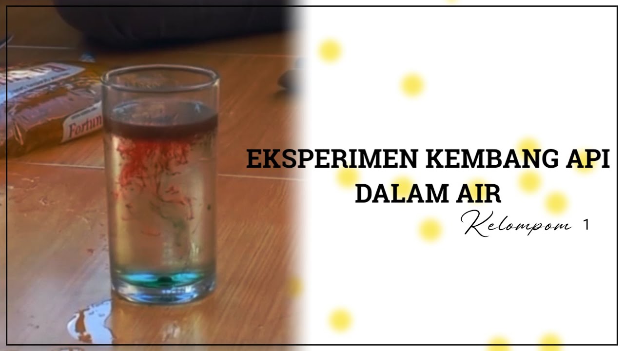 Eksperimen kembang api dalam air | Kelompok 1, tugas Bahasa Indonesia ...