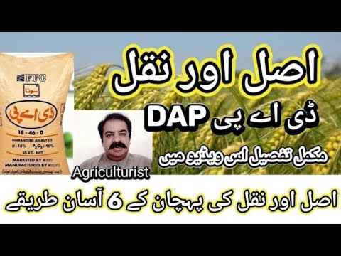 six way to determine DAP is original or not | اصلی ڈی اے پی کی پہچان کے ...