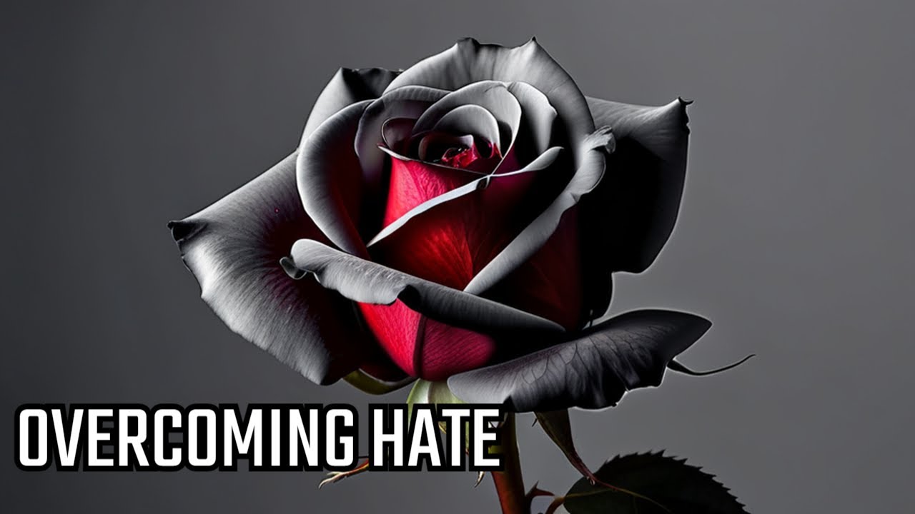 Transforming Hate into Motivation - YouTube