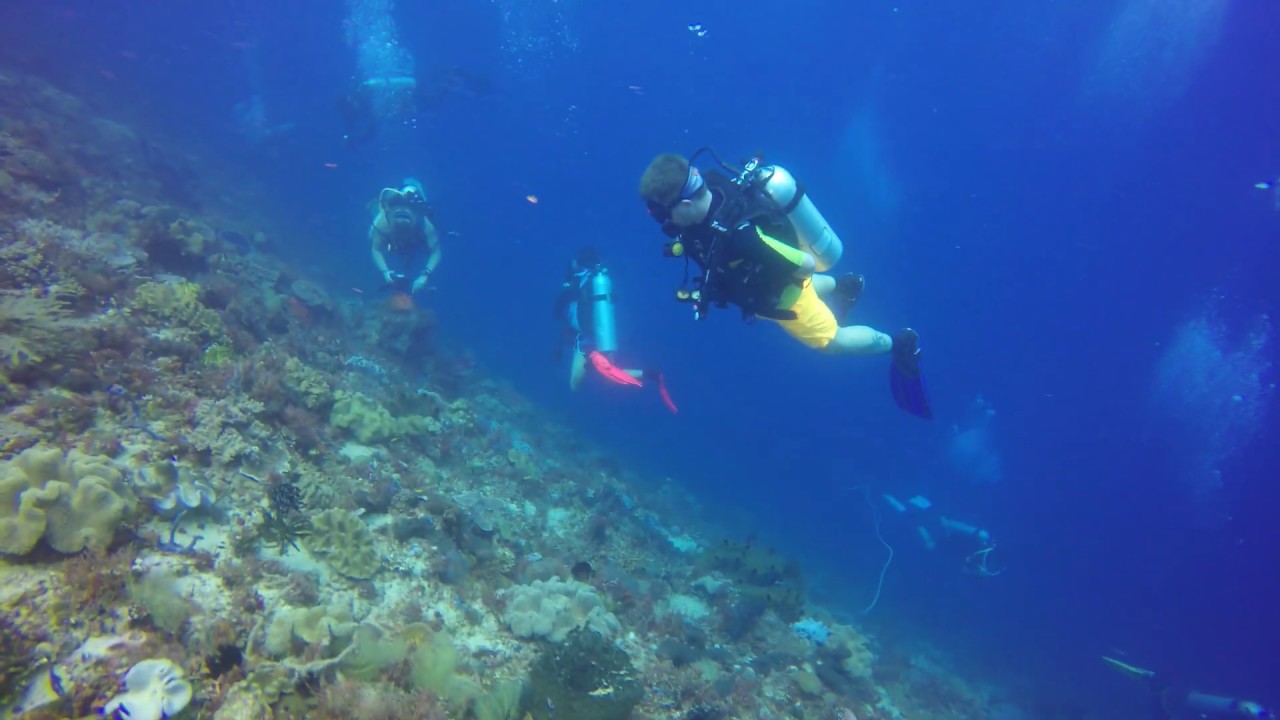 Scuba Diving East Timor - YouTube
