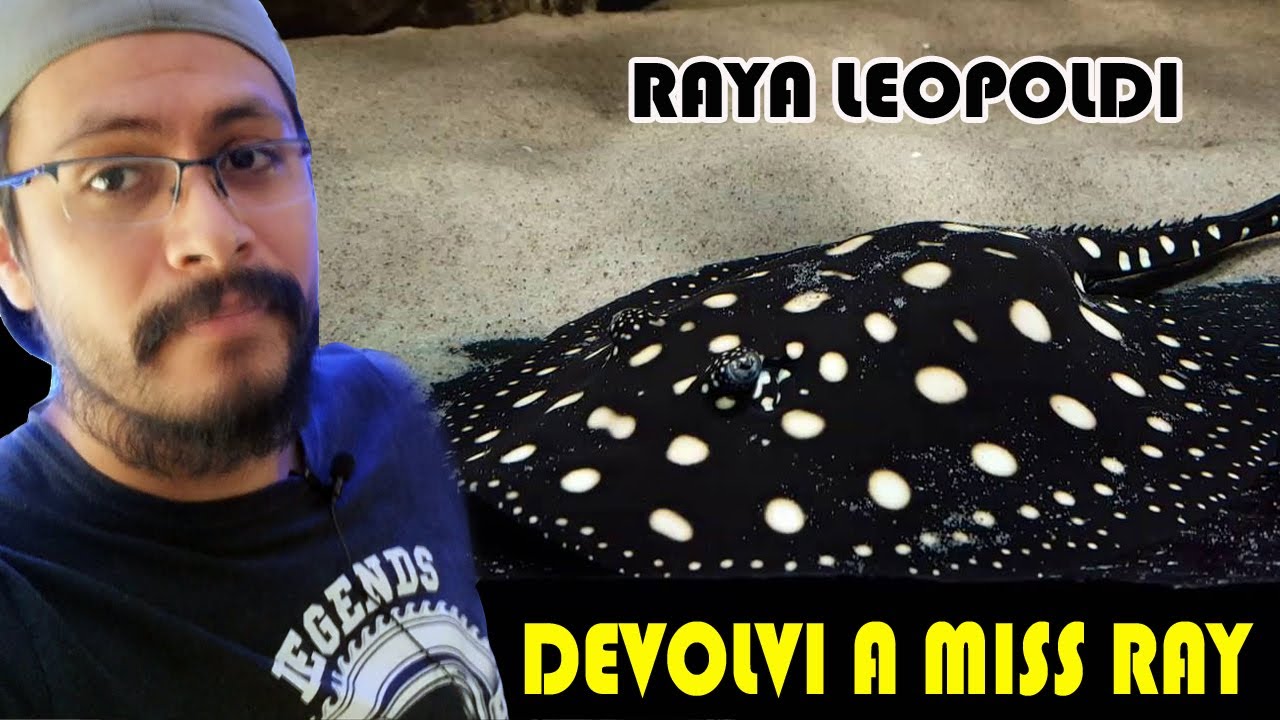La despedida de Miss Ray - YouTube