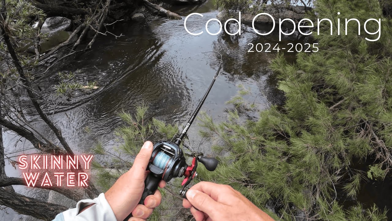 Cod Opening NSW 2024 - YouTube