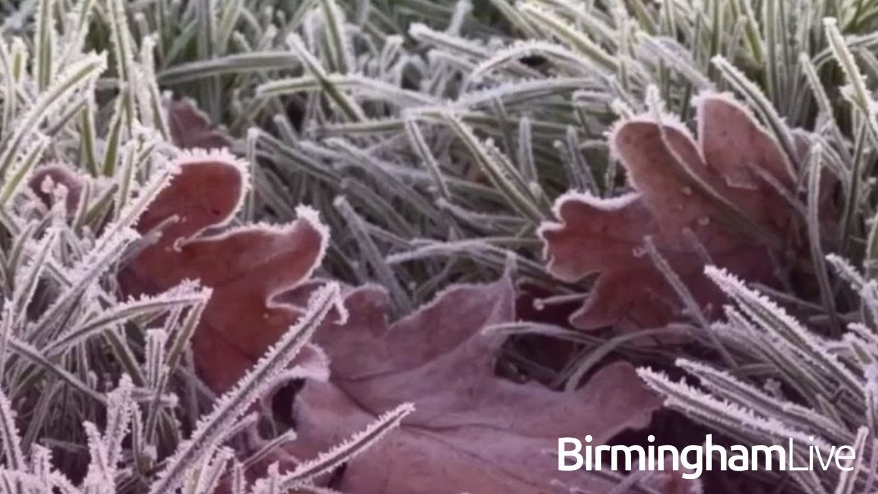 Freezing weather here to stay as UK issued cold weather health alerts ...