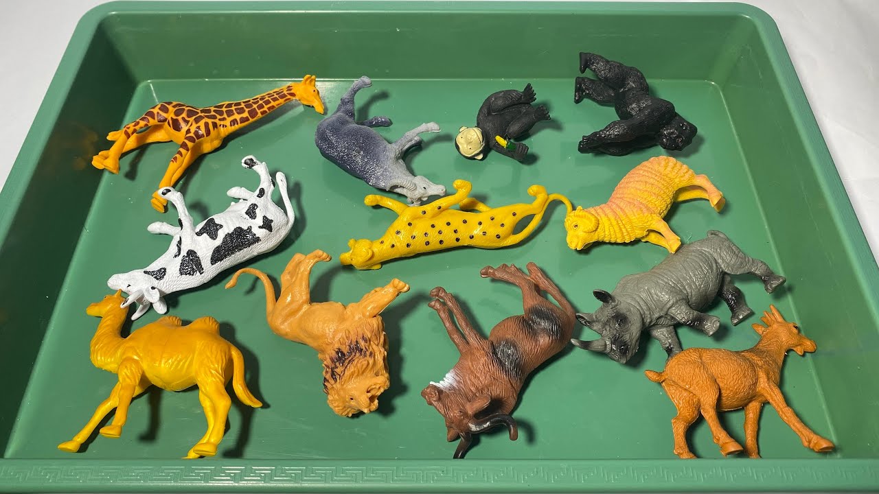 Farm and Safari Animal Toys | Cow | Goat | Buffalo | Camel | Lion ...