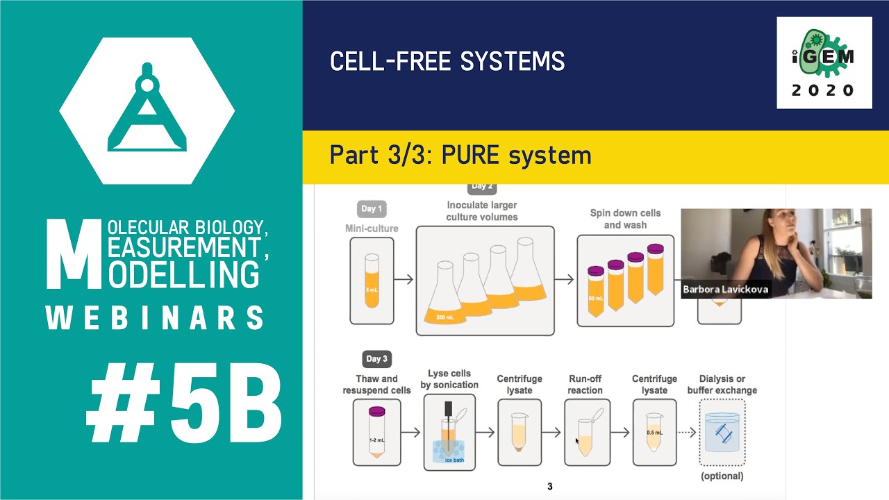 Week #5B: Cell-Free Systems 3/3: PURE system - YouTube
