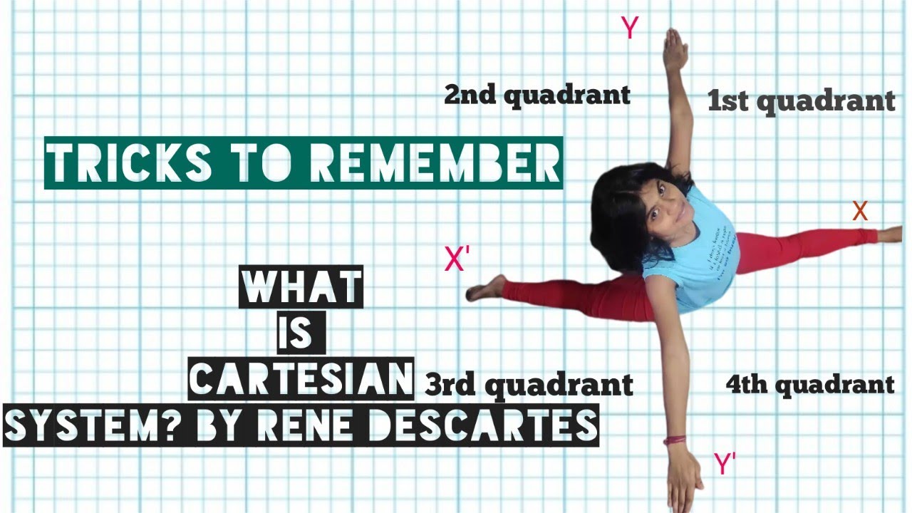 The cartesian system|coordinate geometry|concepts|part I |tricks in ...