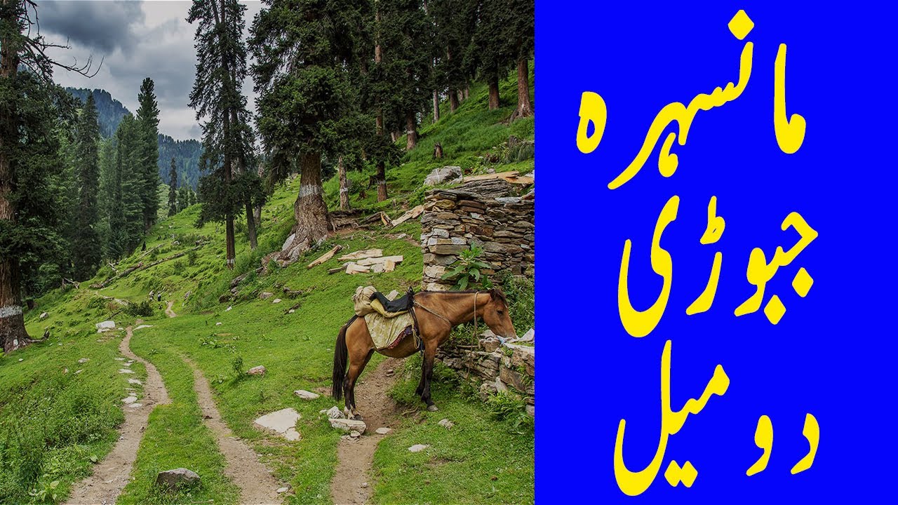 Beauty of Pakistan | Mansehra | Jabori | Domail |Travel vlog - YouTube