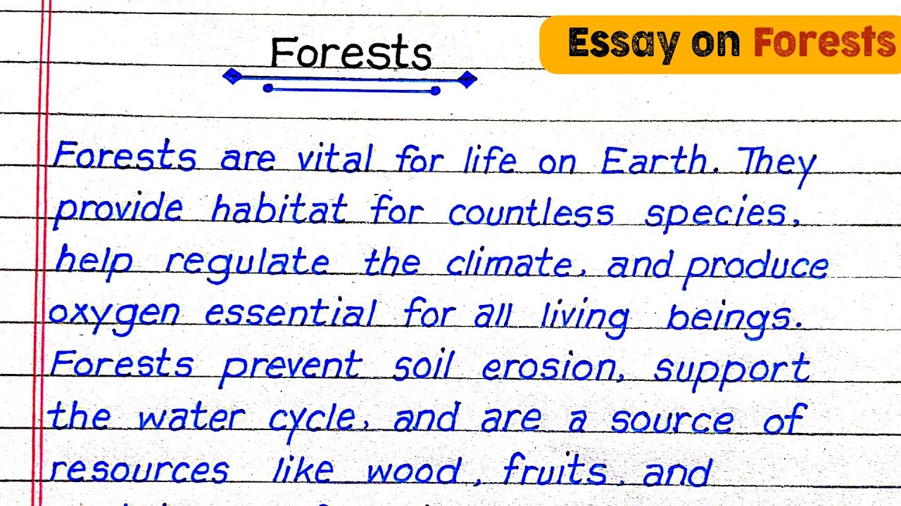 Essay on Forests in English | Forest essay for students - YouTube