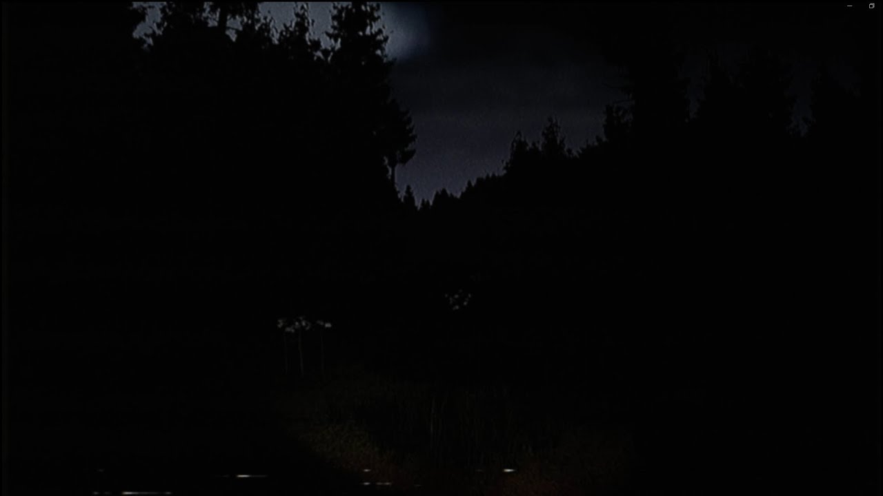 Missing Details - NEW Official Trailer - YouTube