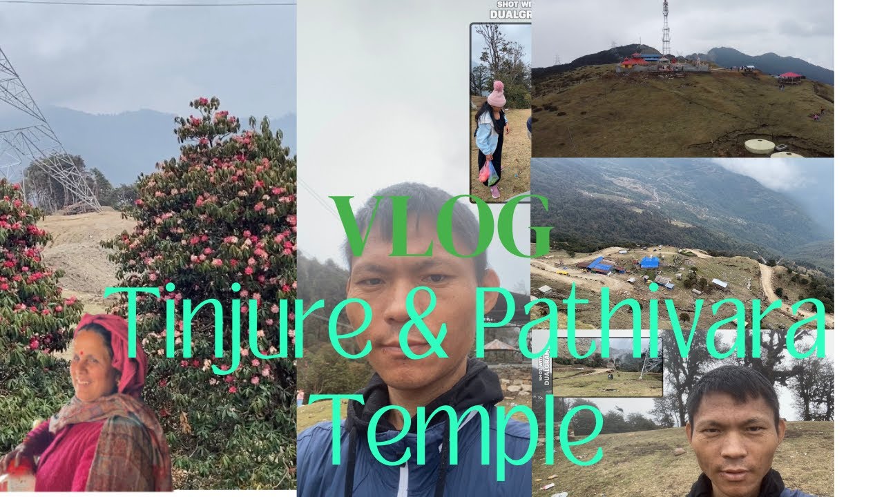 Tinjure, Capital of rhododendron - YouTube