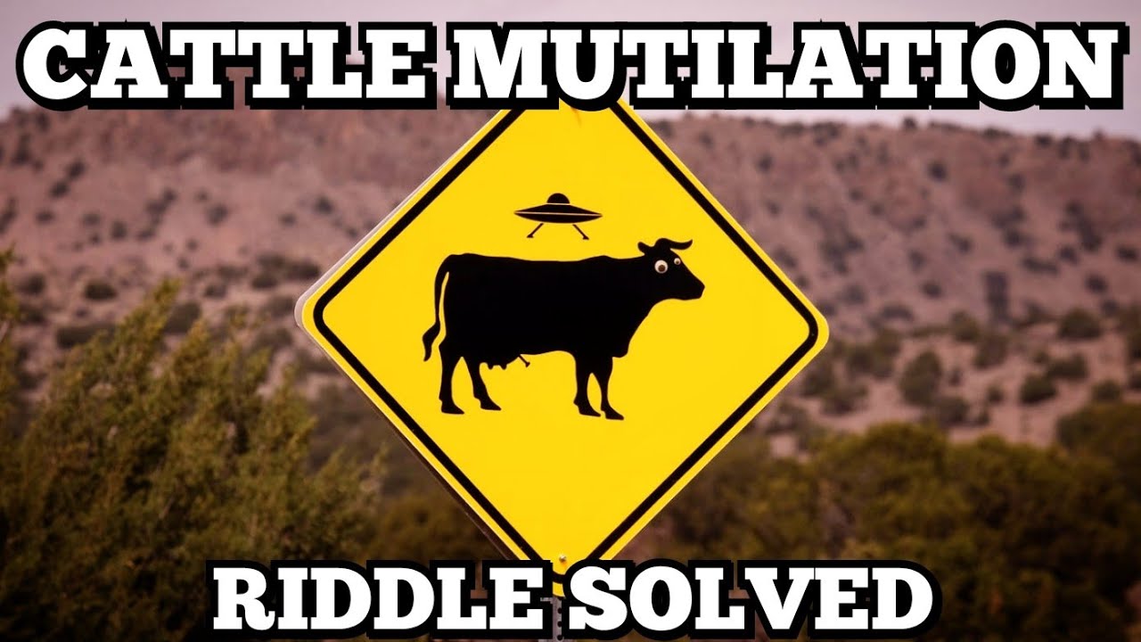 Cattle Mutilation Riddle SOLVED - History is a Lie - YouTube
