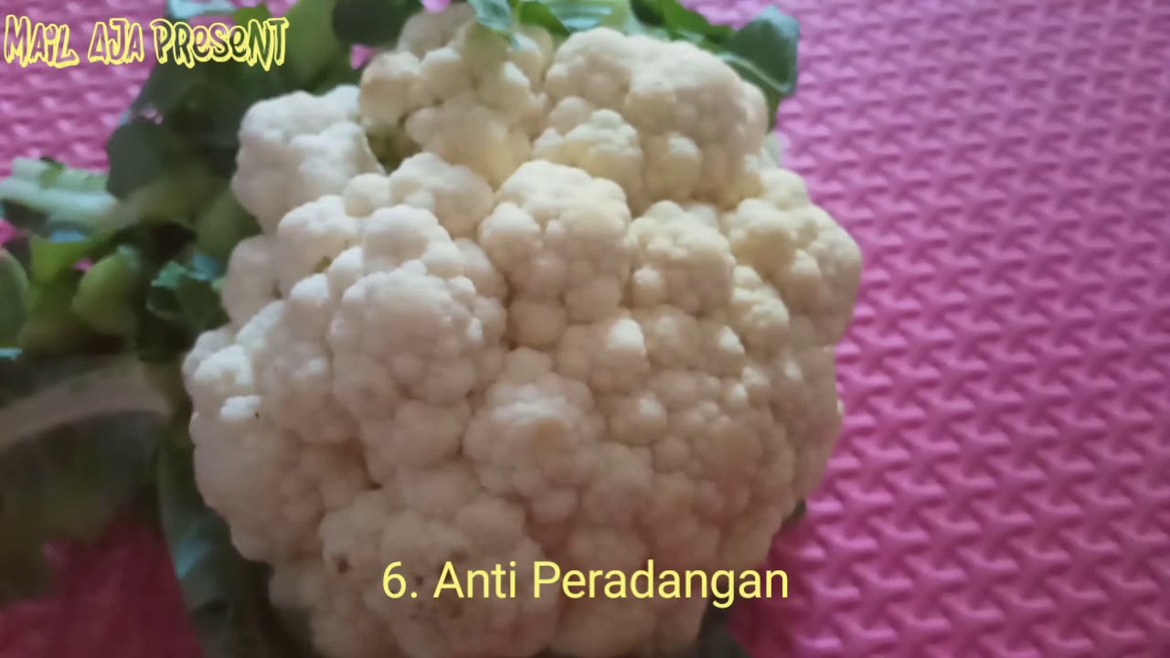 10 Manfaat Kembang kol Untuk Kesehatan Kita - YouTube