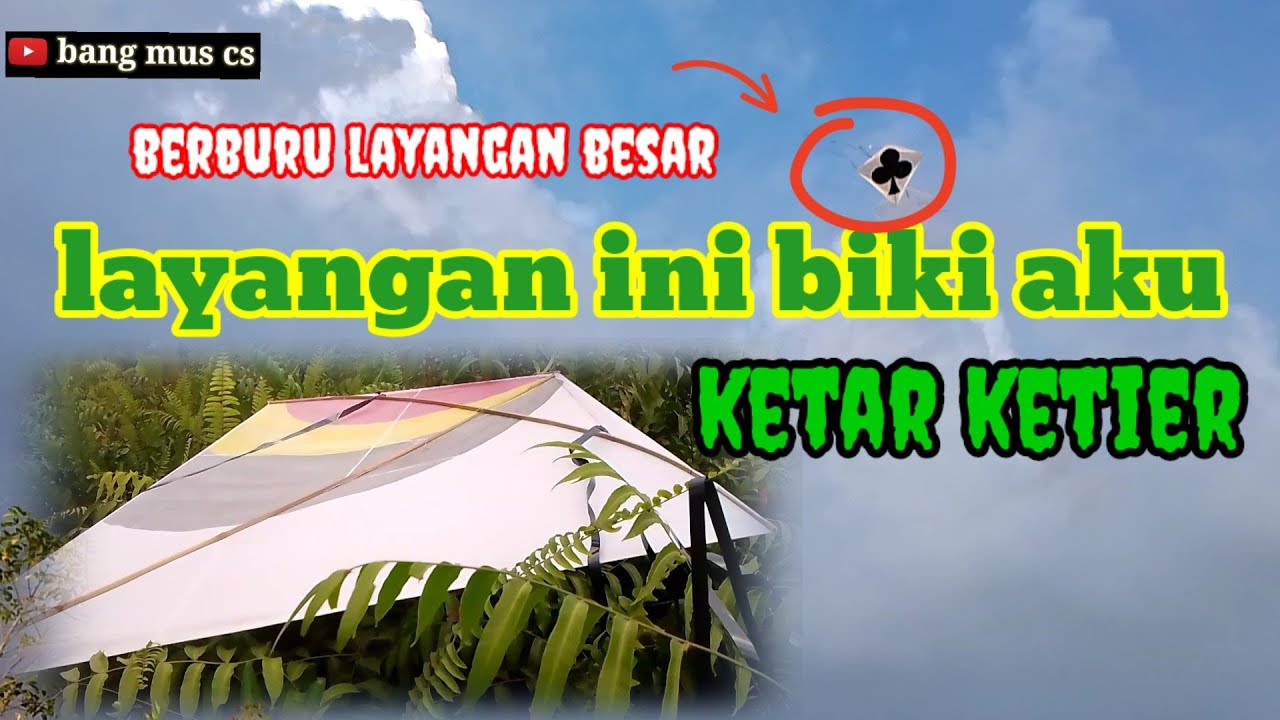 Ngejar layangan putus di hutan Amazon kalimantan - YouTube