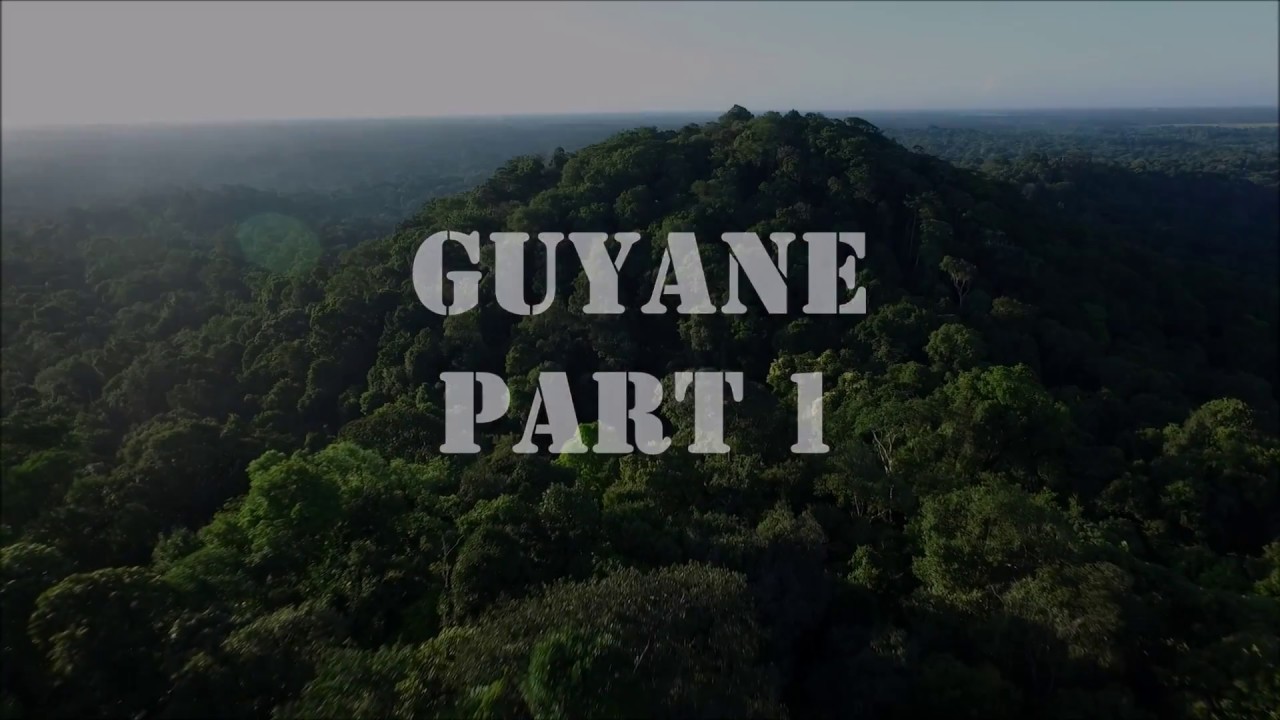 Rainforest by drone : French Guiana, Part 1 - YouTube