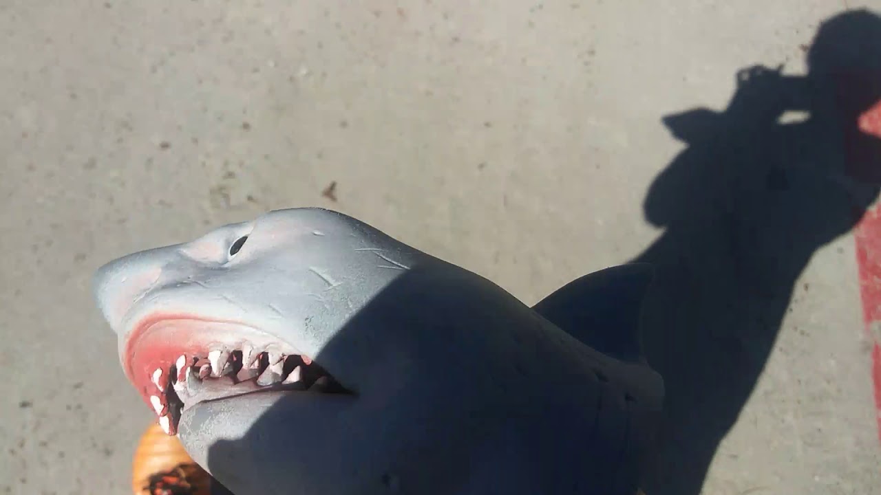 Shark puppet goes to a trampoline yeah!! - YouTube