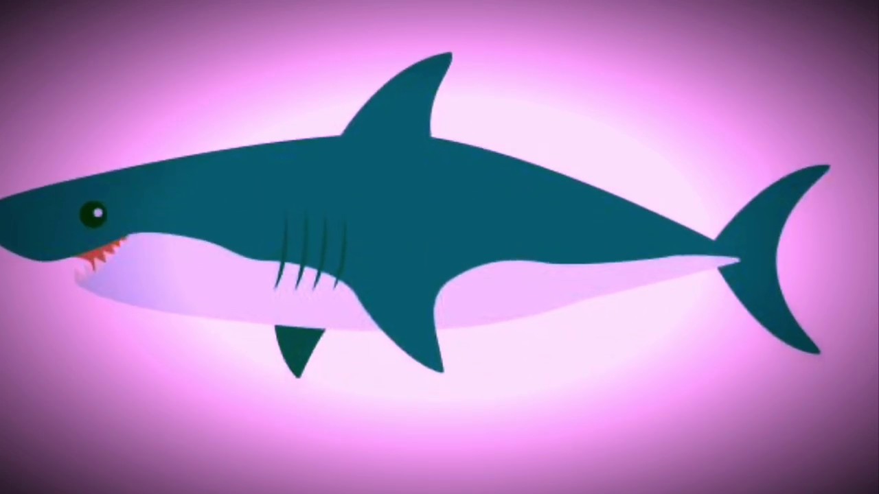 Smiley Shark - YouTube