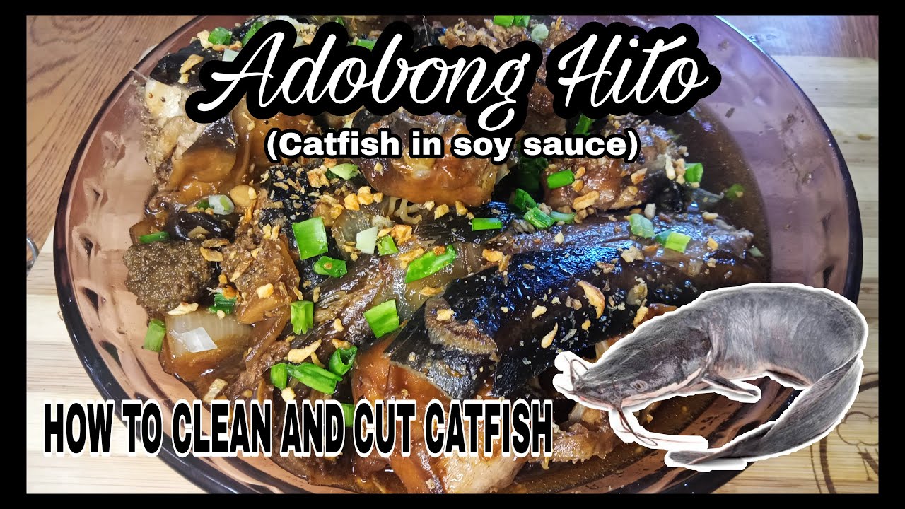 ADOBONG HITO (CATFISH IN SOY SAUCE) // HOW TO CLEAN AND CUT CATFISH ...