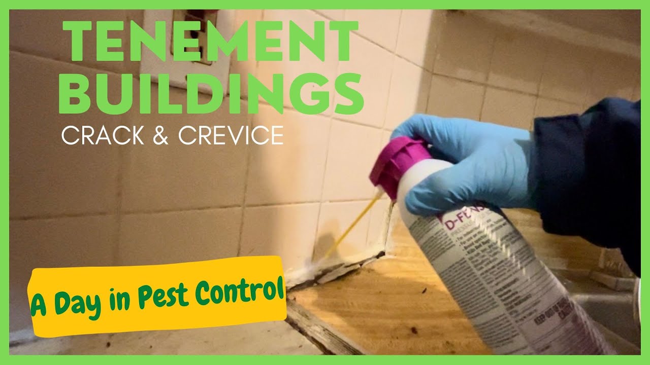 How to treat crack & crevice, Tenement Buildings - YouTube