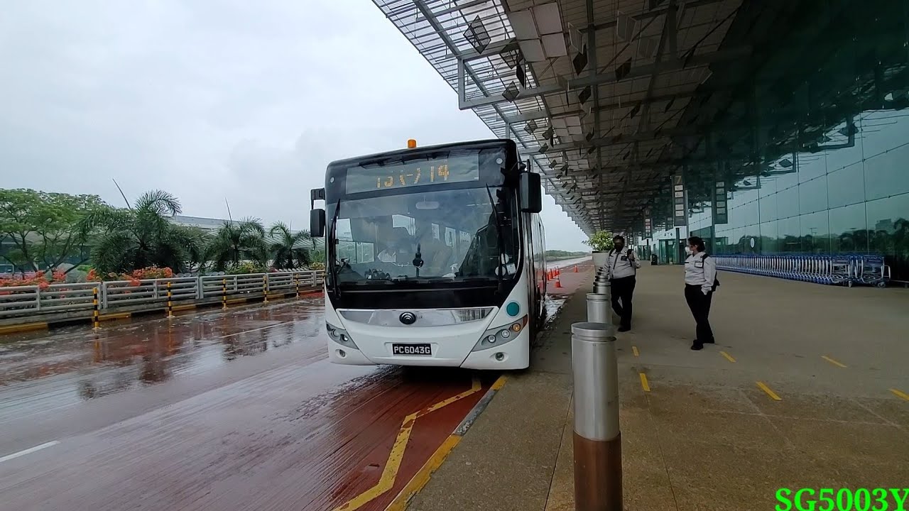 [WT] Free Shuttle Bus To Changi Airport Terminal 3 - 4 - 3 Yutong ZK6126HGA [Full Trip Loop ...
