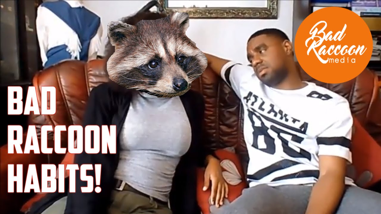 BAD RACCOON HABITS! - YouTube
