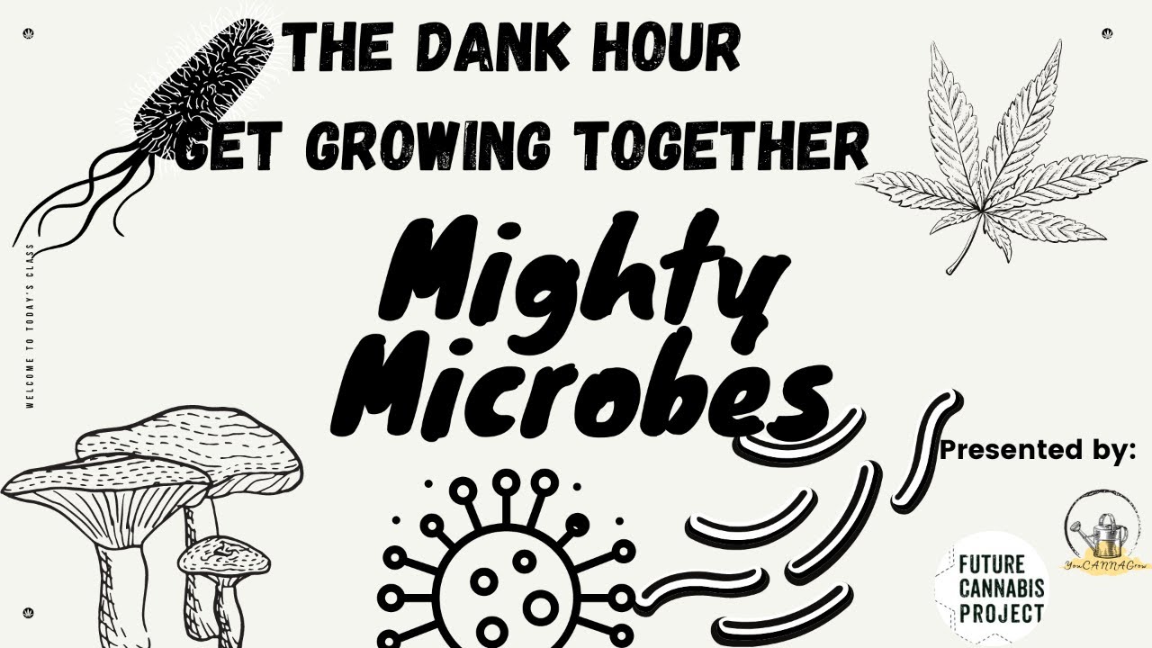 Mighty Microbes - Growing Cannabis With the Power of Microbiology - YouTube