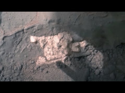 Martian Fossil/Bones, Curiosity Rover - YouTube