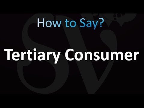 How to Pronounce Tertiary Consumer - YouTube