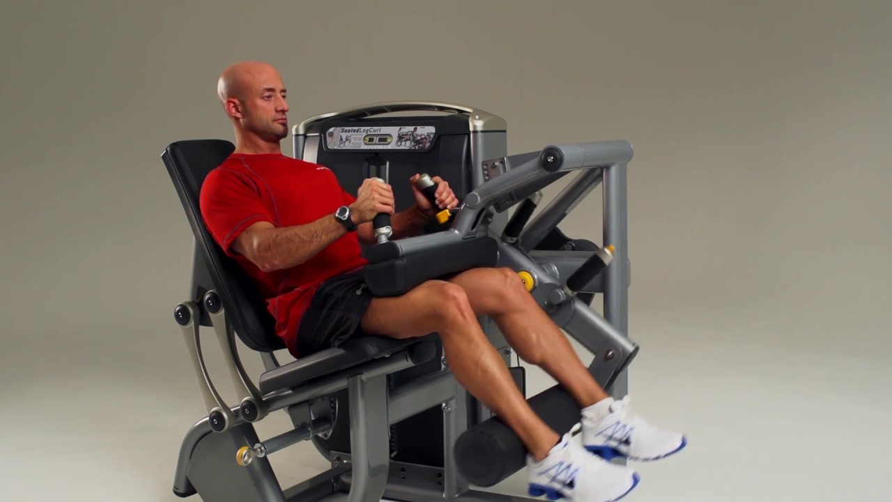 MÁQUINA CURL DE PIERNAS SENTADO - ULTRA | MX12 - YouTube