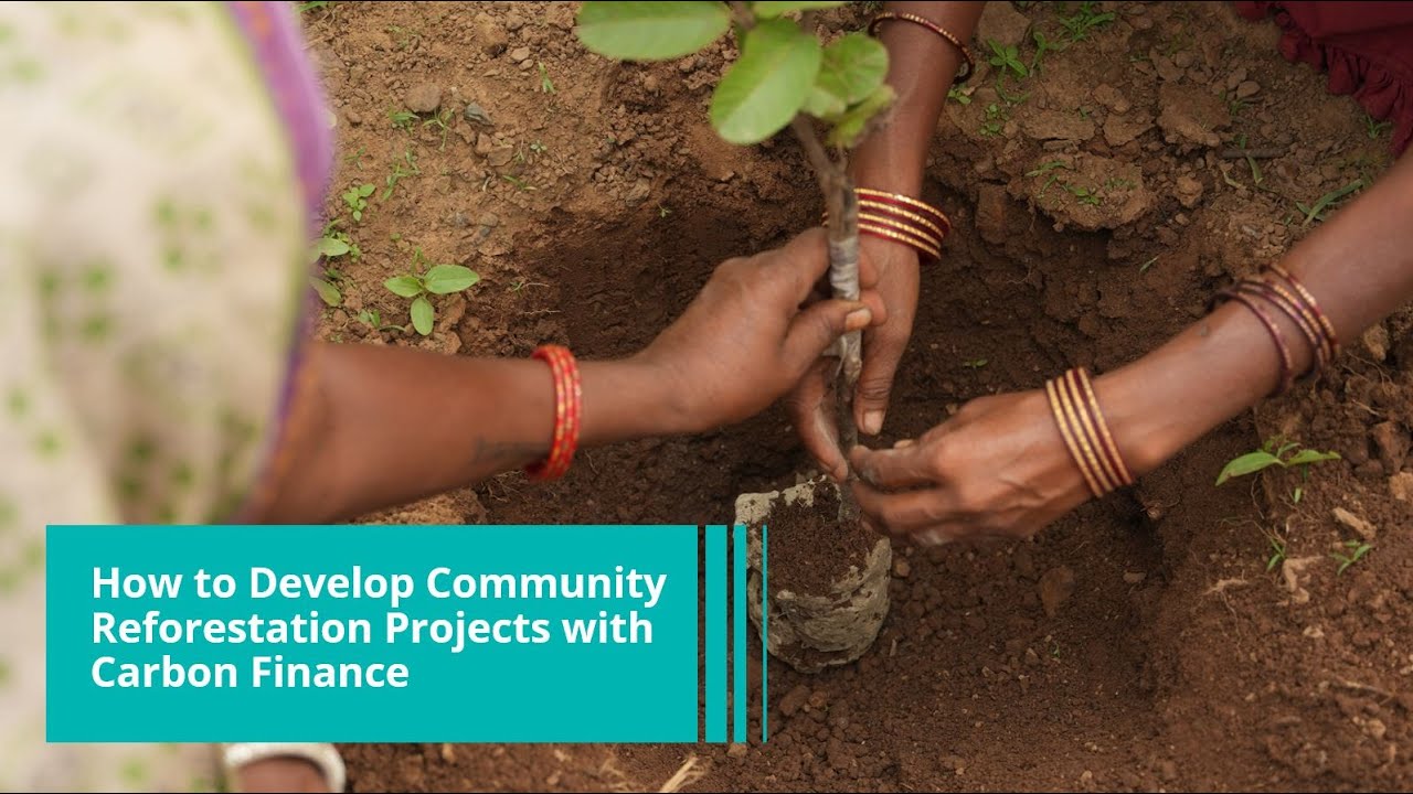 How to Develop Community Reforestation Projects with Carbon Finance ...