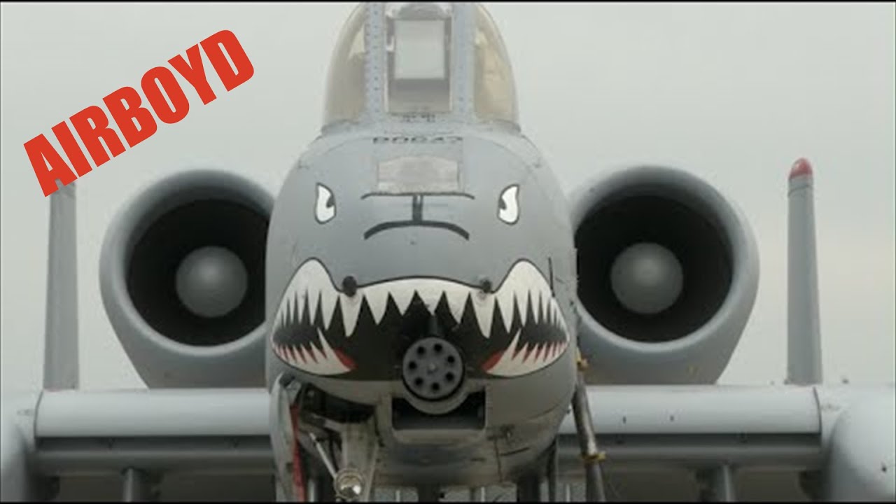 Warthog Friday! - YouTube