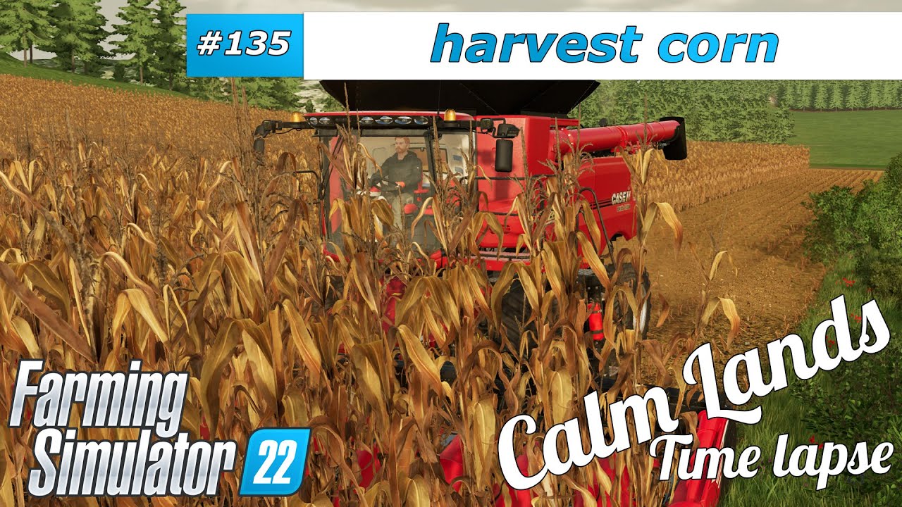 Farming Simulator 22 🚜 Calm Lands 🌽 harvest corn, cover silo bunker ...