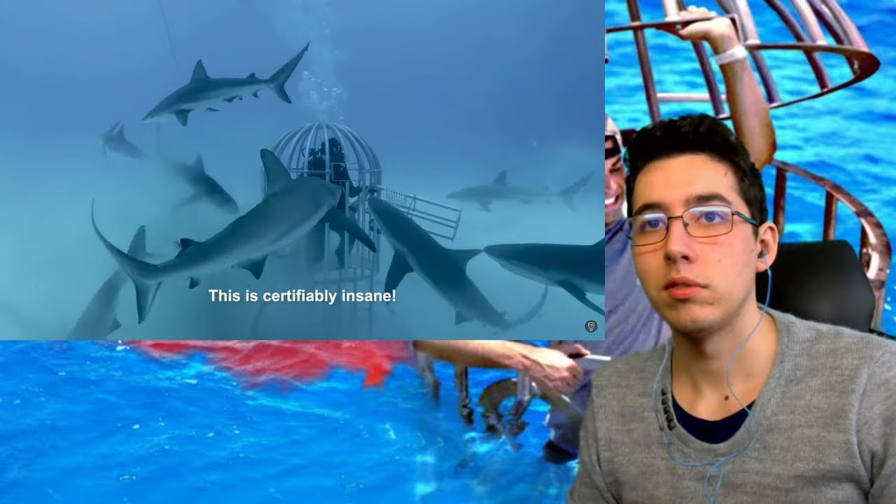 Reacting to Mark Rober Shark Attack Test- Human Blood vs. Fish Blood ...