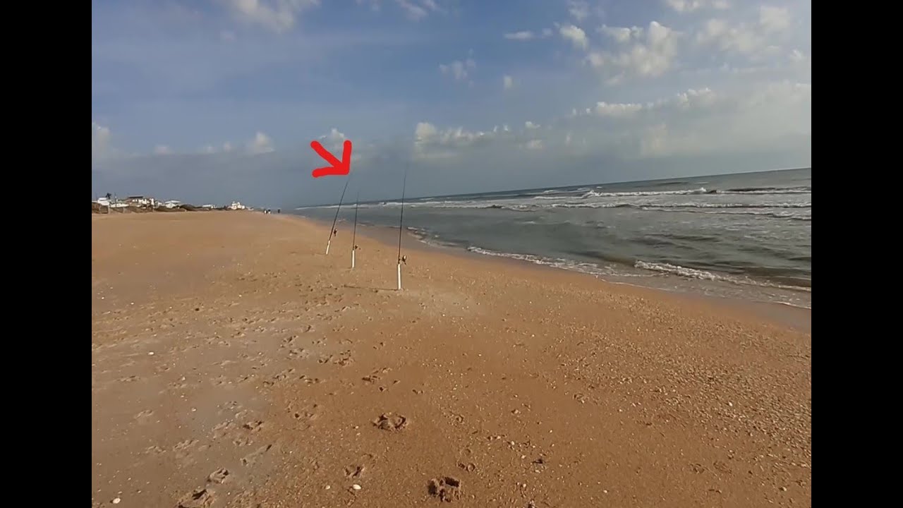 Only One Fish Today, But I CAUGHT a New SPECIES! - YouTube