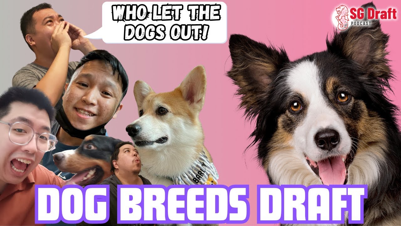 ULTIMATE DOG BREED DRAFT! - SG Draft Podcast - YouTube