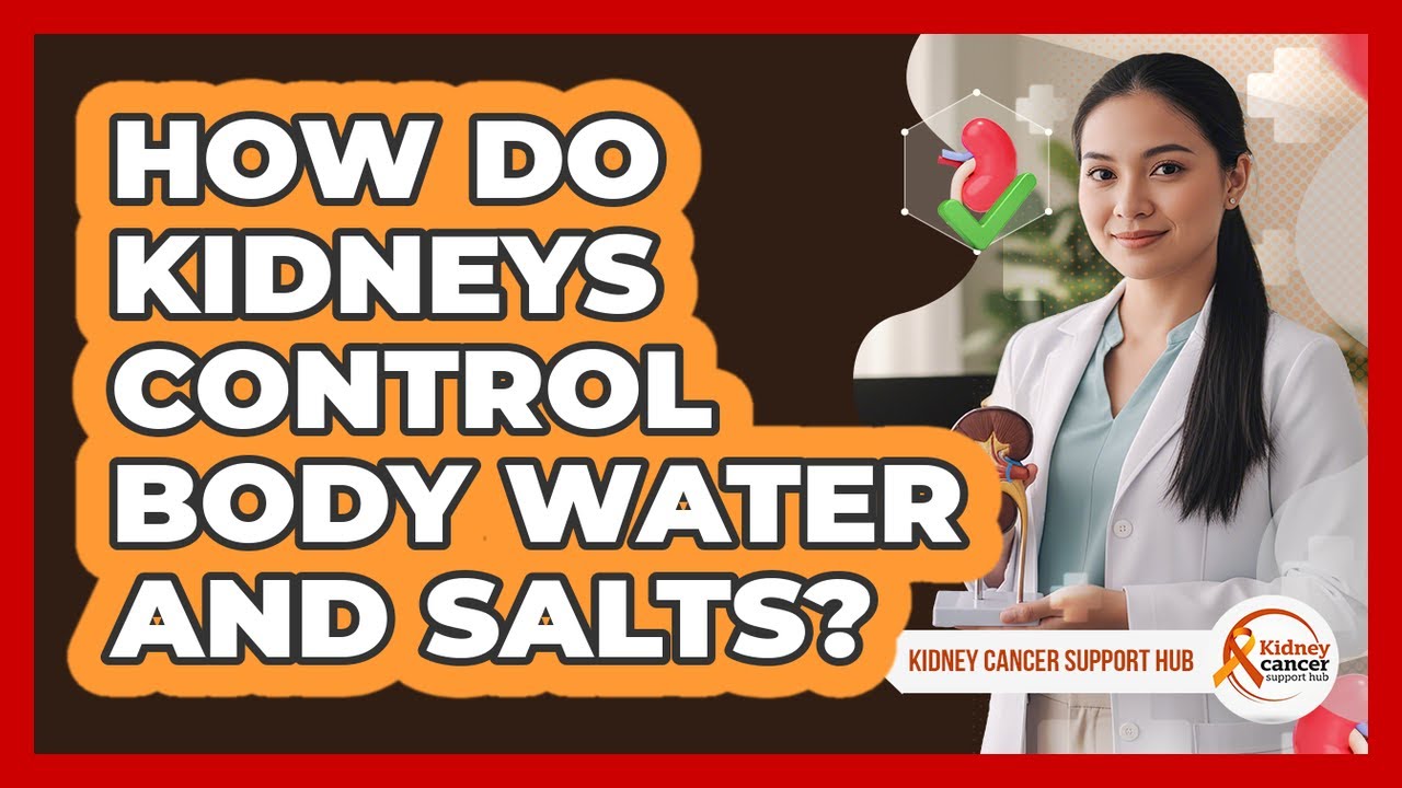 How Do Kidneys Control Body Water And Salts? - YouTube