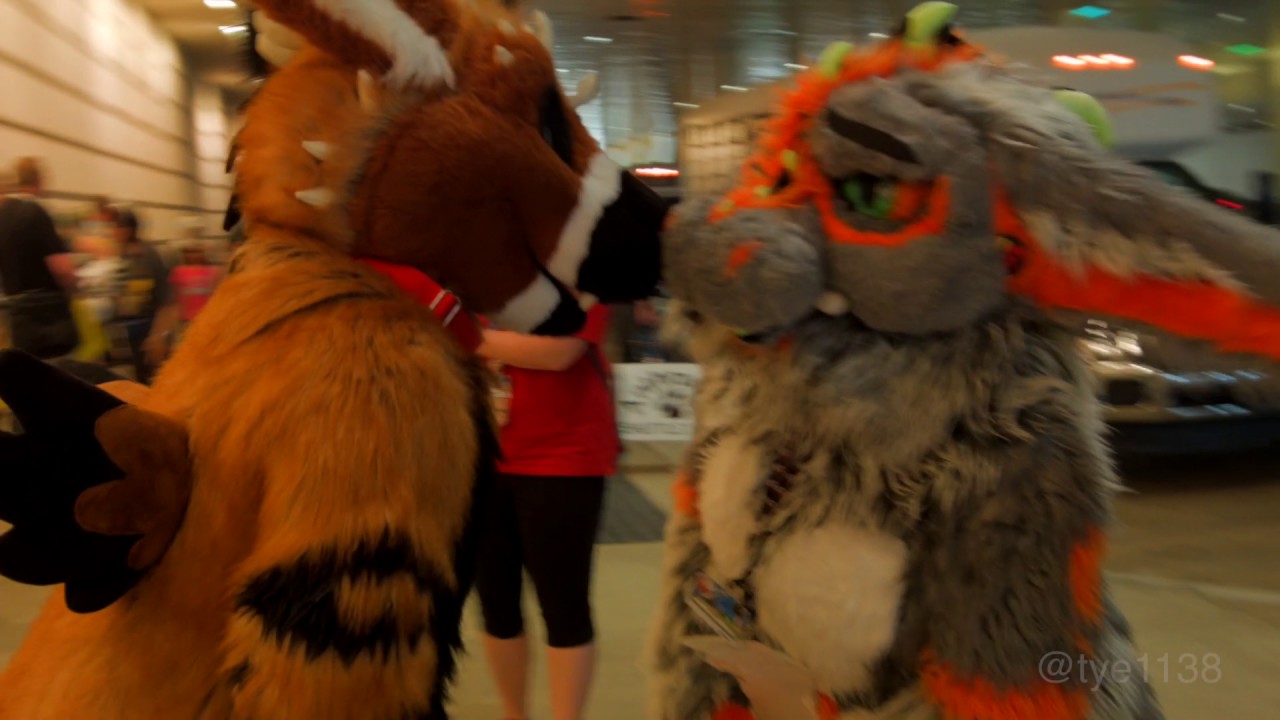 Anthrocon 2017 Telephone & Tayerr on a Saturday afternoon walk - YouTube