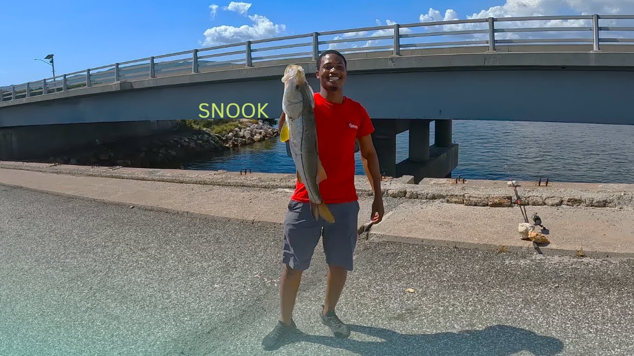 LEARNING HOW TO FISH AT CAUSEWAY BRIDGE - YouTube