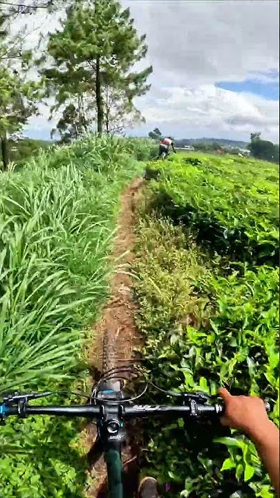 Full Gowes Sepeda ke Trek 11 Sukawana Bikepark Puncak Upas #gowes #sepeda #mtb #adventure # ...